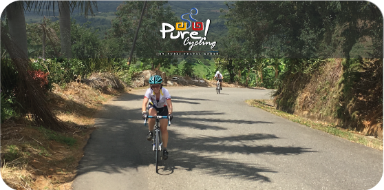 Pure! Travel Group – Pure! travel Group is an Agency expert in service