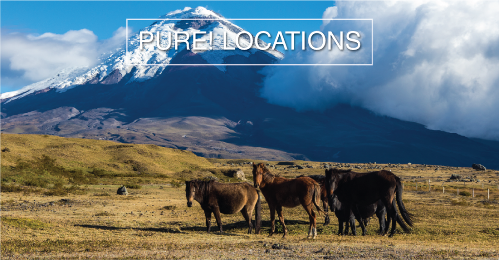 Locations Blog | Pure! Travel Group - Pure! Travel Group