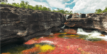 Seven colors river, Caño Cristales - Pure! Travel Group